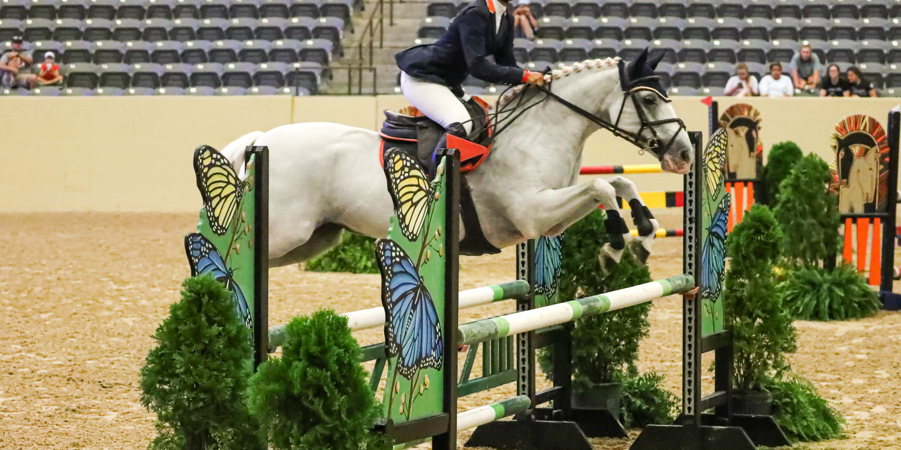 Hallie Rush Races to 2019 Pony Jumper Championship Honors with Sky ...
