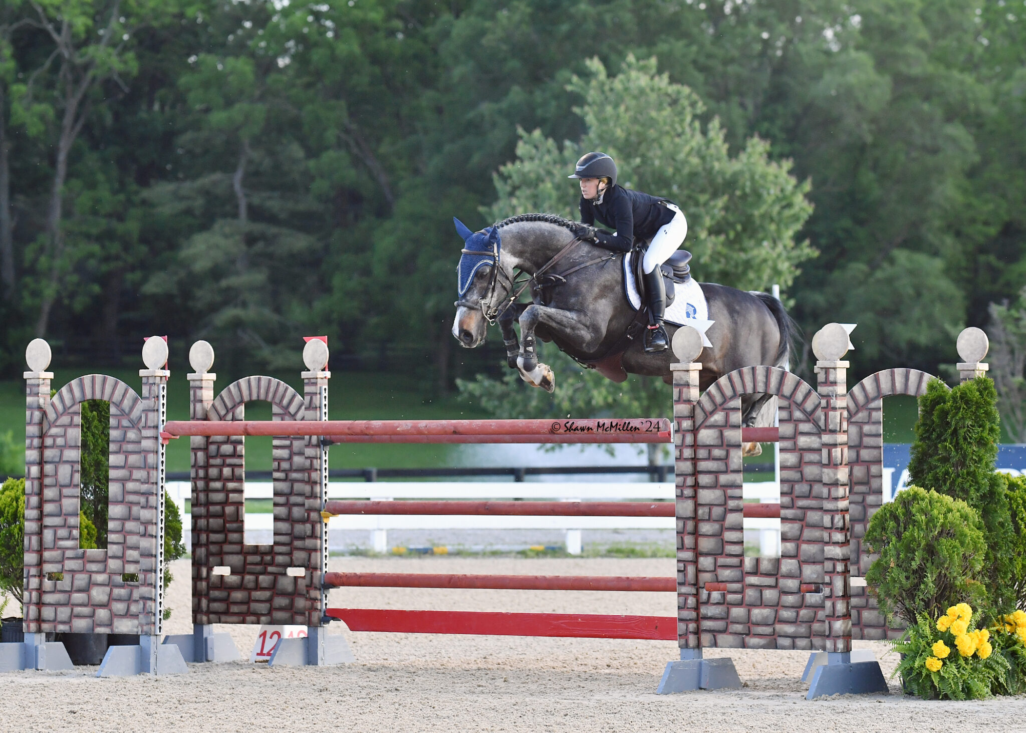 Cathleen Driscoll and Arome Dominate $125,000 Mary Rena Murphy Grand ...