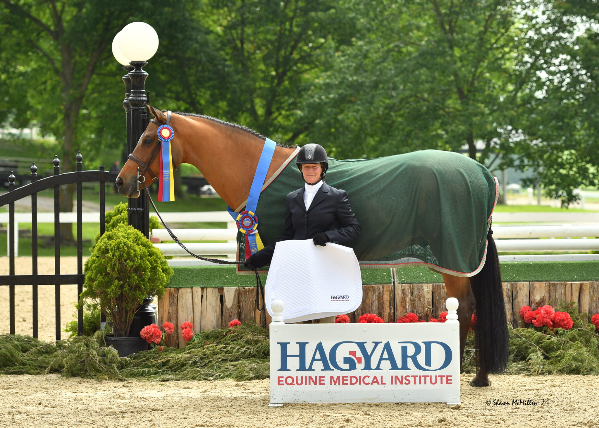 Verified and Kelley Farmer Earn Hagyard Equine Grand Hunter ...