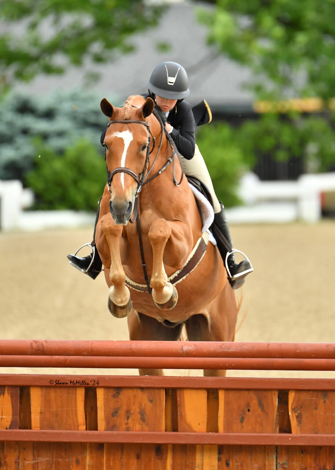 Richard Rinehart and Elise Stephens Top $5,000 USHJA National Hunter ...