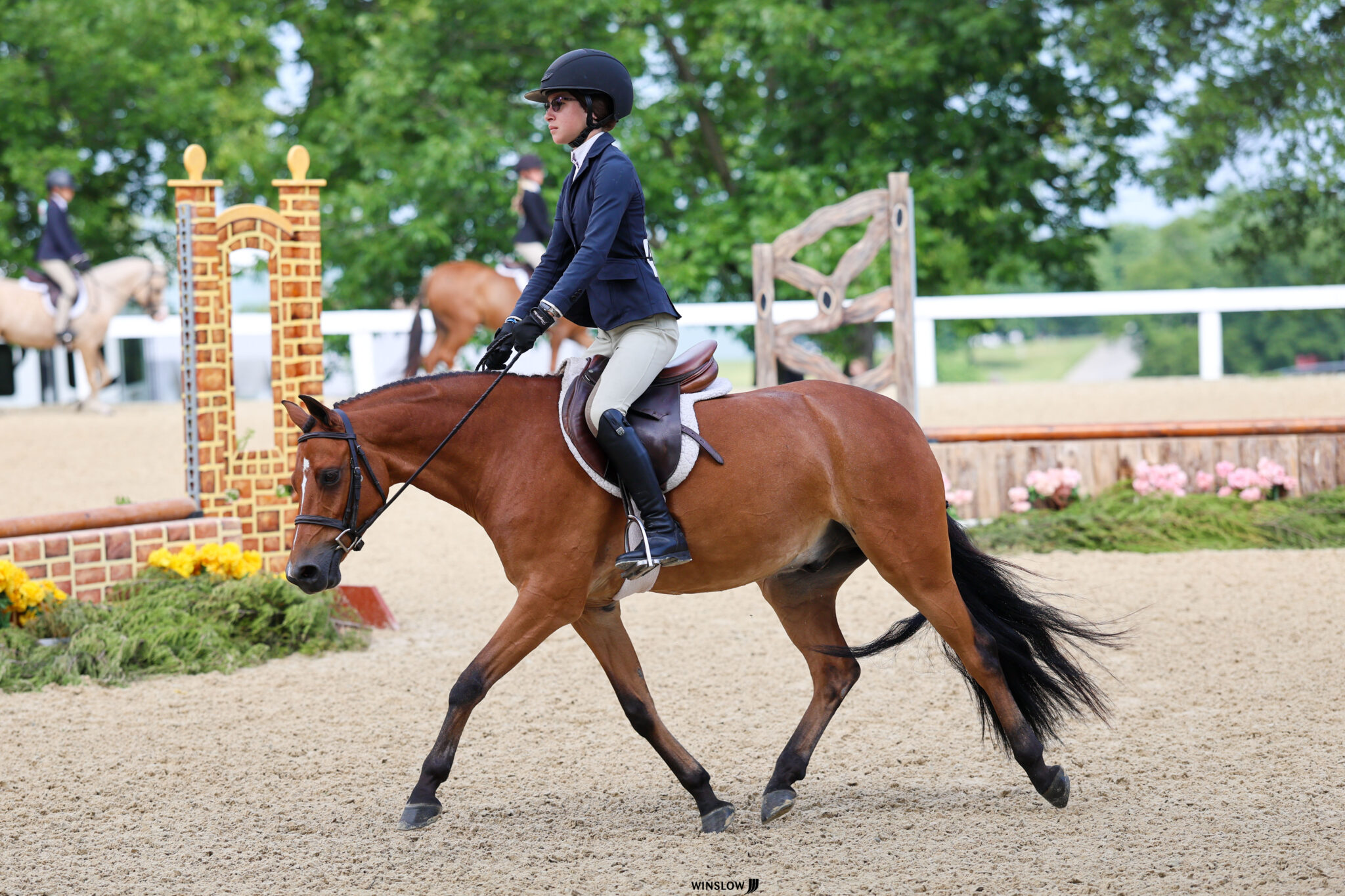 Lacey Powers and Boca’s Bolero Named Grand Pony Hunter Champions at ...